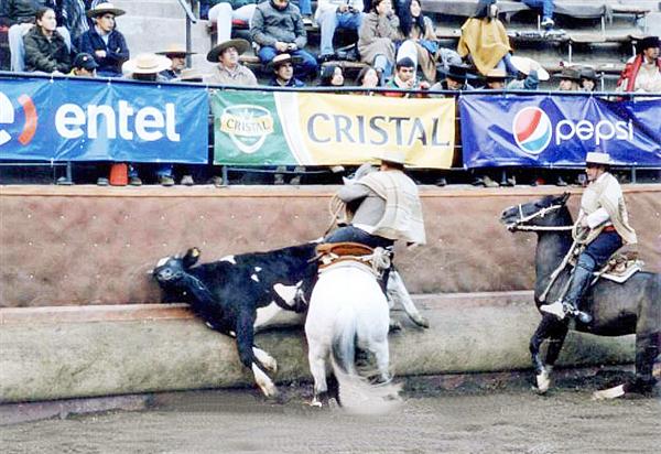 Club de Rodeo Chileno organiza rodeo este fin de semana « Diario El Trabajo